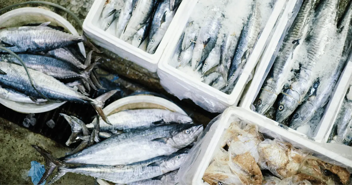 What Is Catch Weight in Food? + How To Manage It